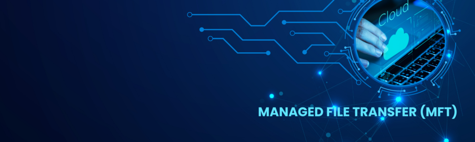 WebDrive NextGen: Seamless, Convenient File Access